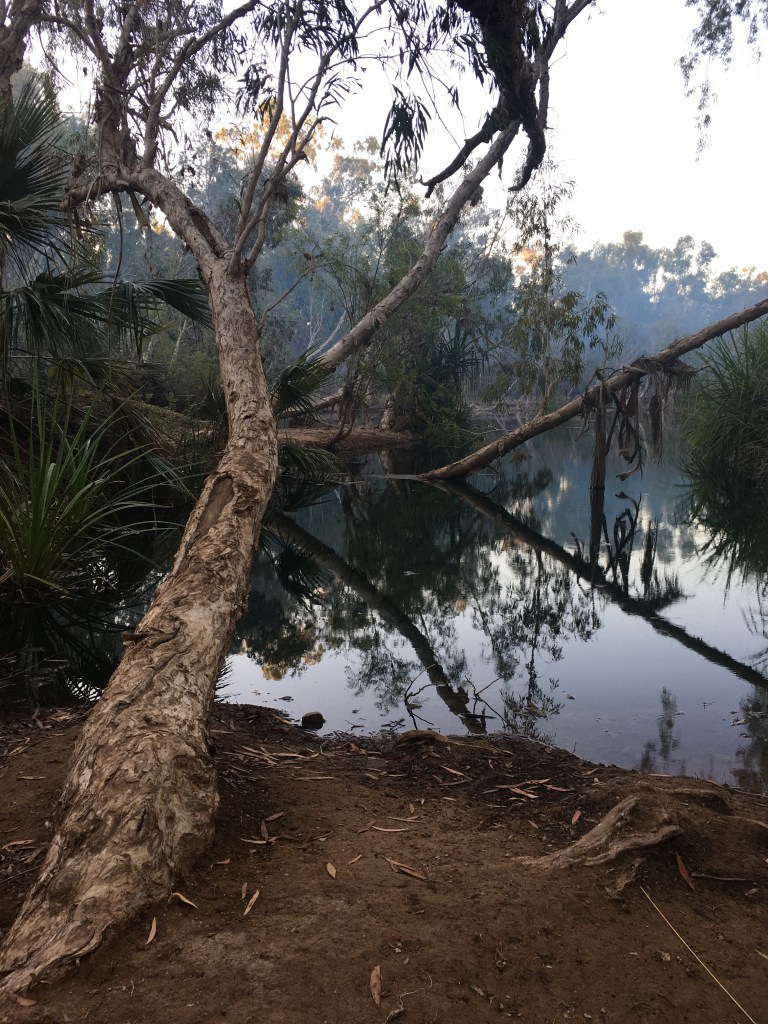 Just south of Gregory, Qld – Big Country